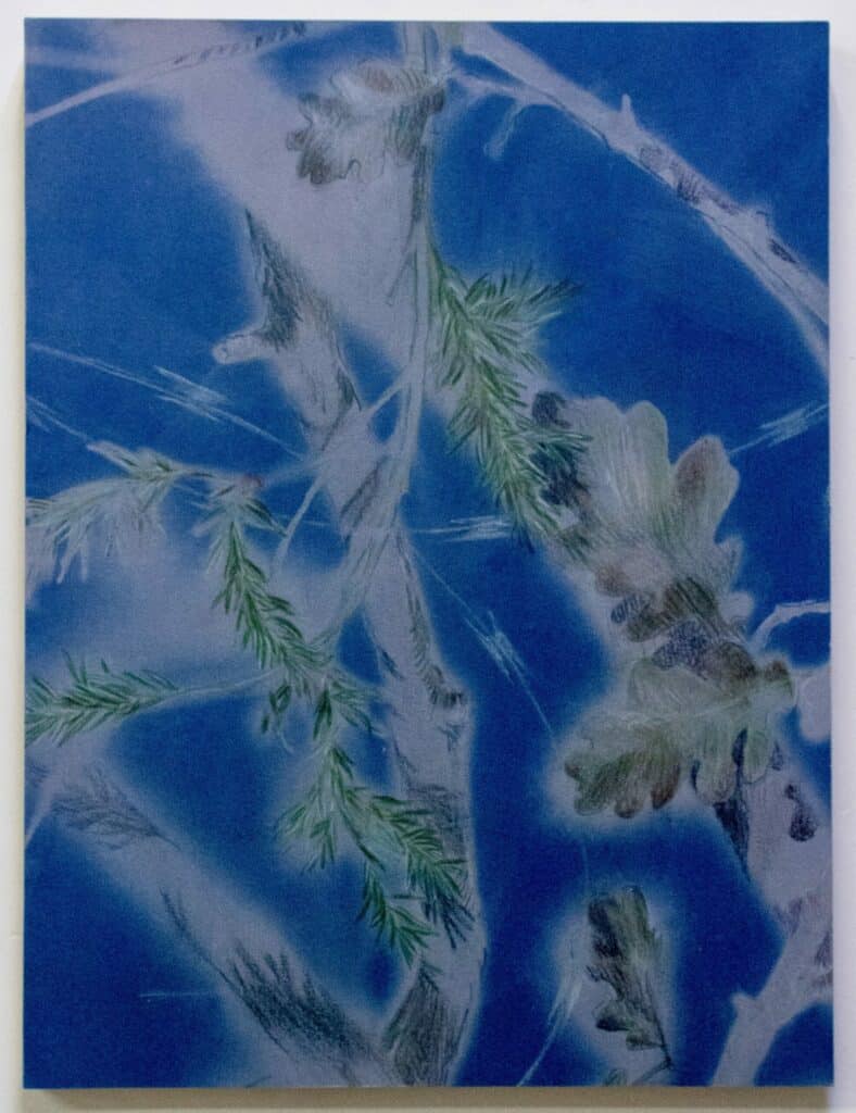 Galerie Antoine Dupin - Drawing Now Art Fair